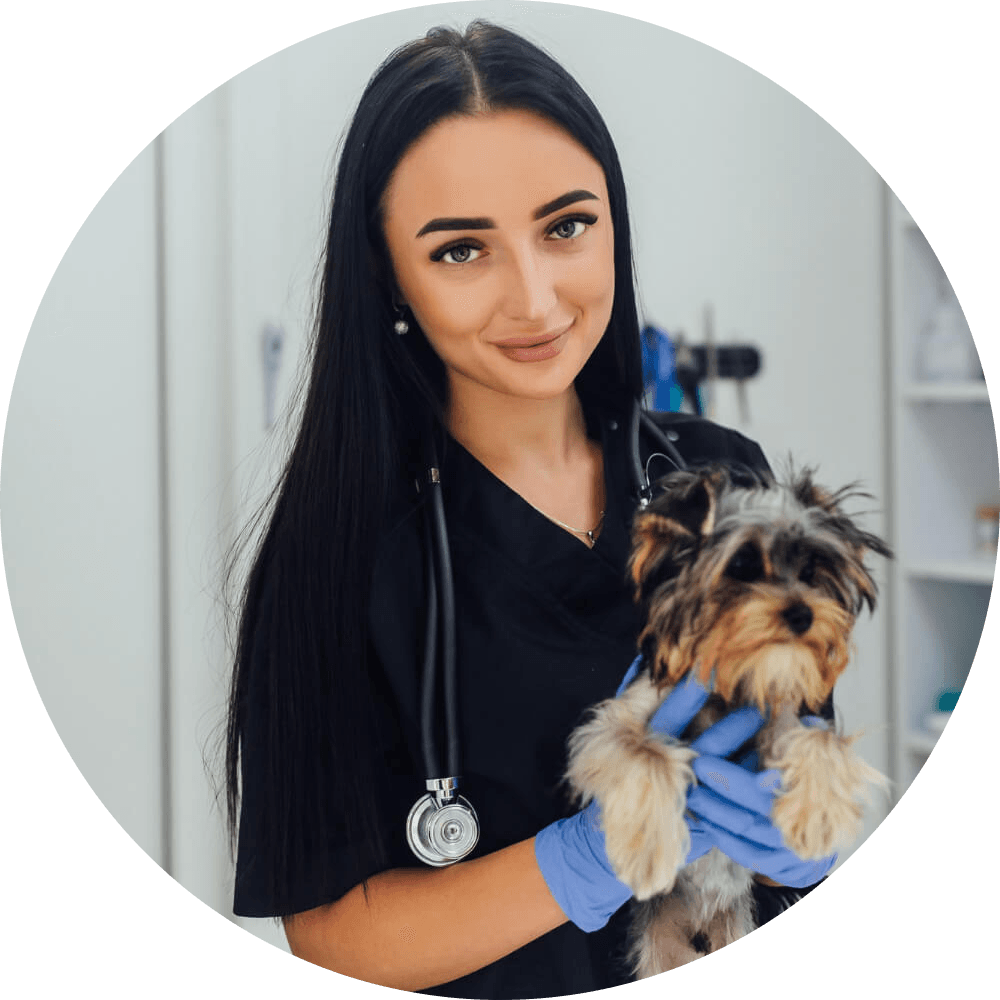 Contact Us - Southern Ocean Animal Hospital