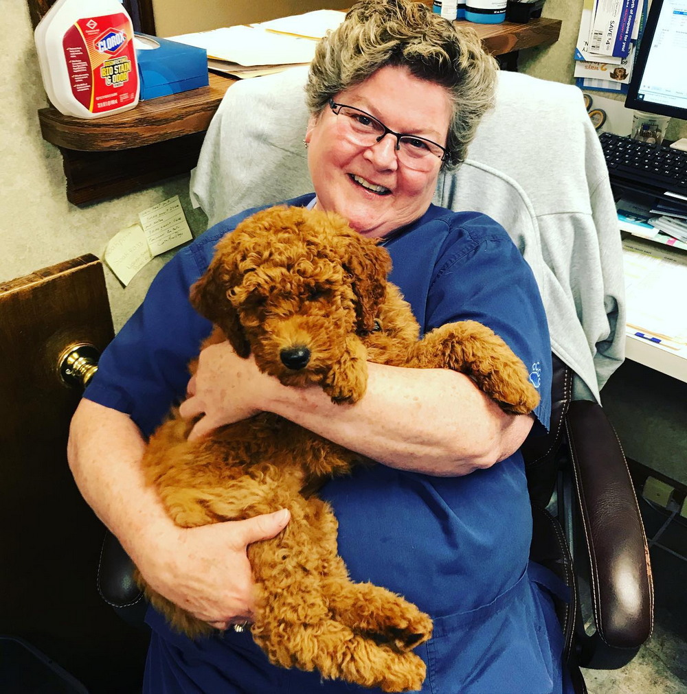 Wellness Exams - Southern Ocean Animal Hospital